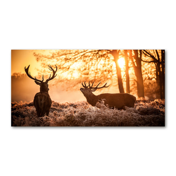 Union Rustic Deer East - Kunstdrucke auf Leinwand - Wrapped Canvas | Wayfair.de